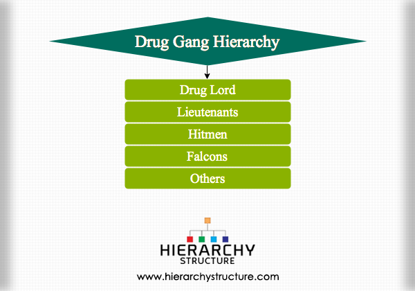 Drug Gang Hierarchy Archives - Hierarchy Structure Drug Gang Hierarchy Archives - Hierarchy Structure