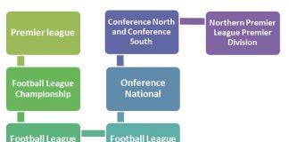 Sports Hierarchy structures and charts | Hierarchystructure.com