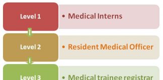 Career Hierarchy | Career path,choices and options hierarchy