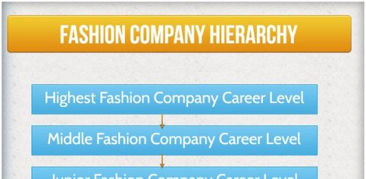 Career Hierarchy | Career path,choices and options hierarchy Career Hierarchy | Career path,choices and options hierarchy
