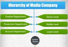 Insurance Company Hierarchy Chart | Hierarchy structure.com