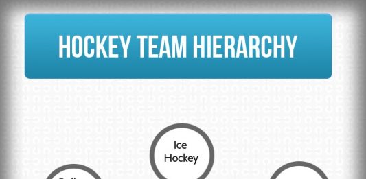 Sports Hierarchy structures and charts | Hierarchystructure.com