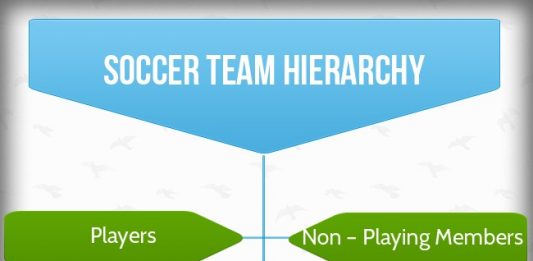 Sports Hierarchy structures and charts | Hierarchystructure.com