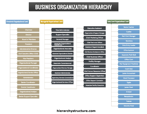 Business Organization Hierarchy - Hierarchy Structure Business Organization Hierarchy - Hierarchy Structure