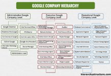 Financial Company Hierarchy | Hierarchystructure.com