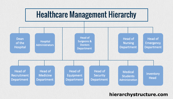 Hospital Hierarchy Nursing Doctor Staff Hierarchy Cha - vrogue.co Hospital Hierarchy Nursing Doctor Staff Hierarchy Cha - vrogue.co