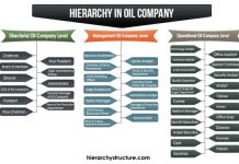 Hierarchy structure of Manufacturing Company | Hierarchy Chart