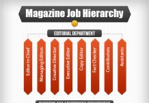 Finance job hierarchy | Hierarchical Structure & Charts