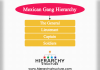 Street Gang Hierarchy | Hierarchystructure.com