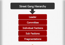 Drug Gang Hierarchy Chart | Hierarchystructure.com
