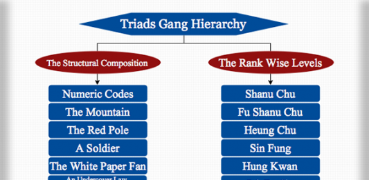 Gang Hierarchy-Street | gang hierarchy ranks | motorcycle gang hierarchy Gang Hierarchy-Street | gang hierarchy ranks | motorcycle gang hierarchy