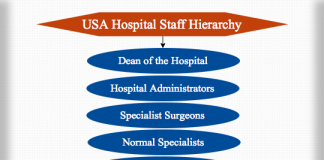 Hospital Hierarchy-Nursing | doctor | Staff hierarchy charts and structures