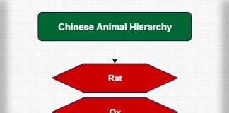 Chinese animal hierarchy Archives - Hierarchy Structure