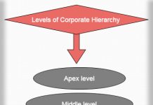 Automobile Company Hierarchy