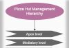 Pizza Hut Management Hierarchy | management Hierarchy chart
